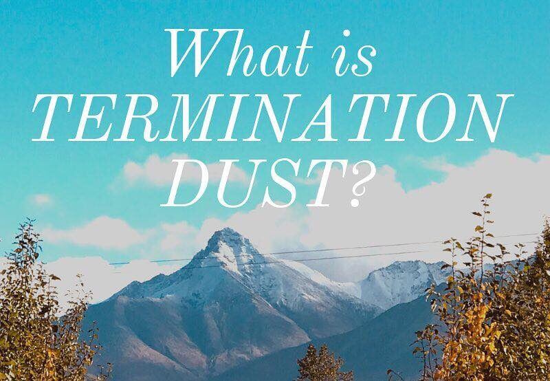 TERMINATION DUST - Common Ground Alaska
