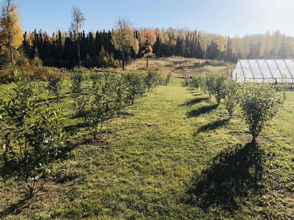 Upcoming Events – Common Ground Alaska