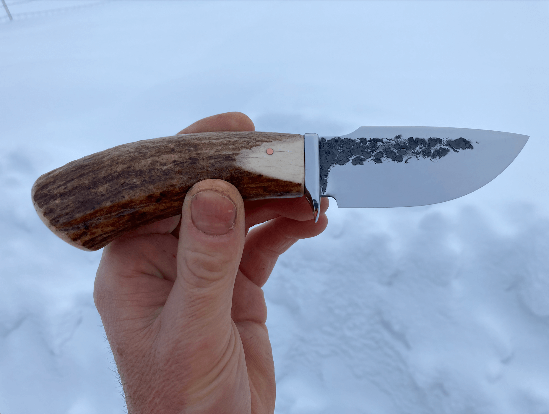 Forge - Common Ground Alaska