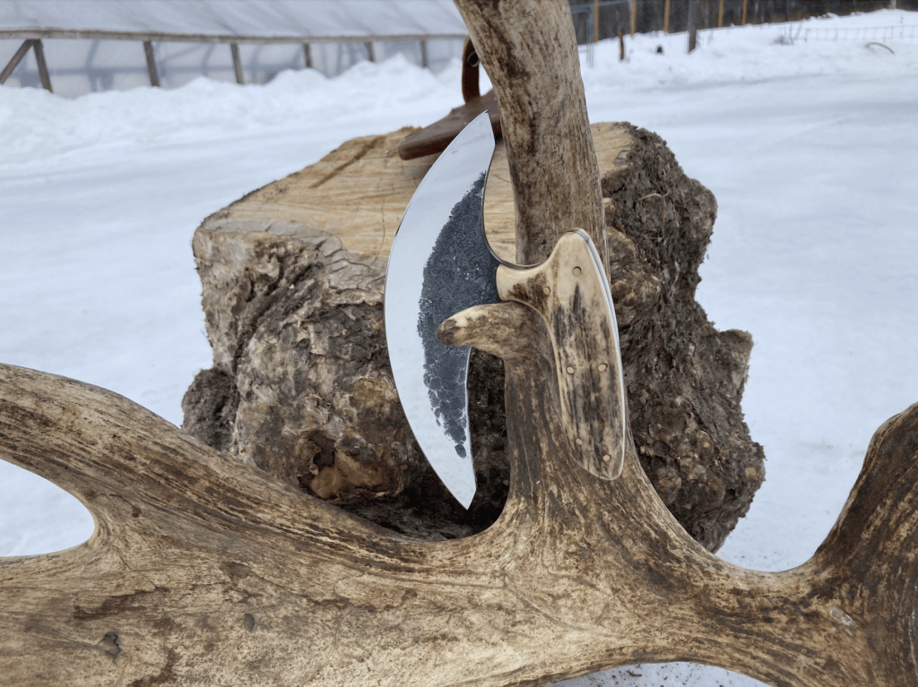 Alaska Made Ulu Hand Forged Culinary Knife with Moose Antler Handle ...