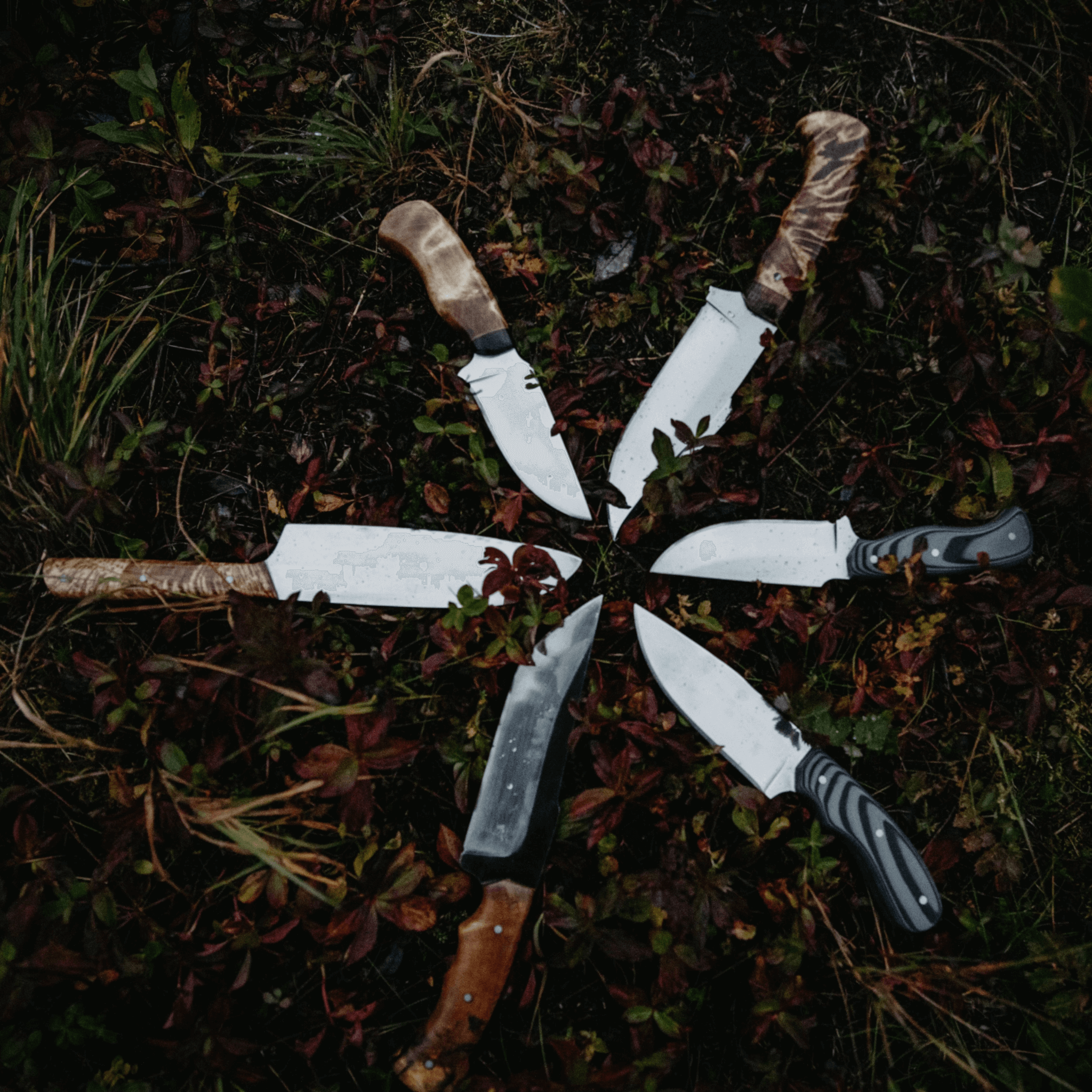 Youtube - Common Ground Alaska