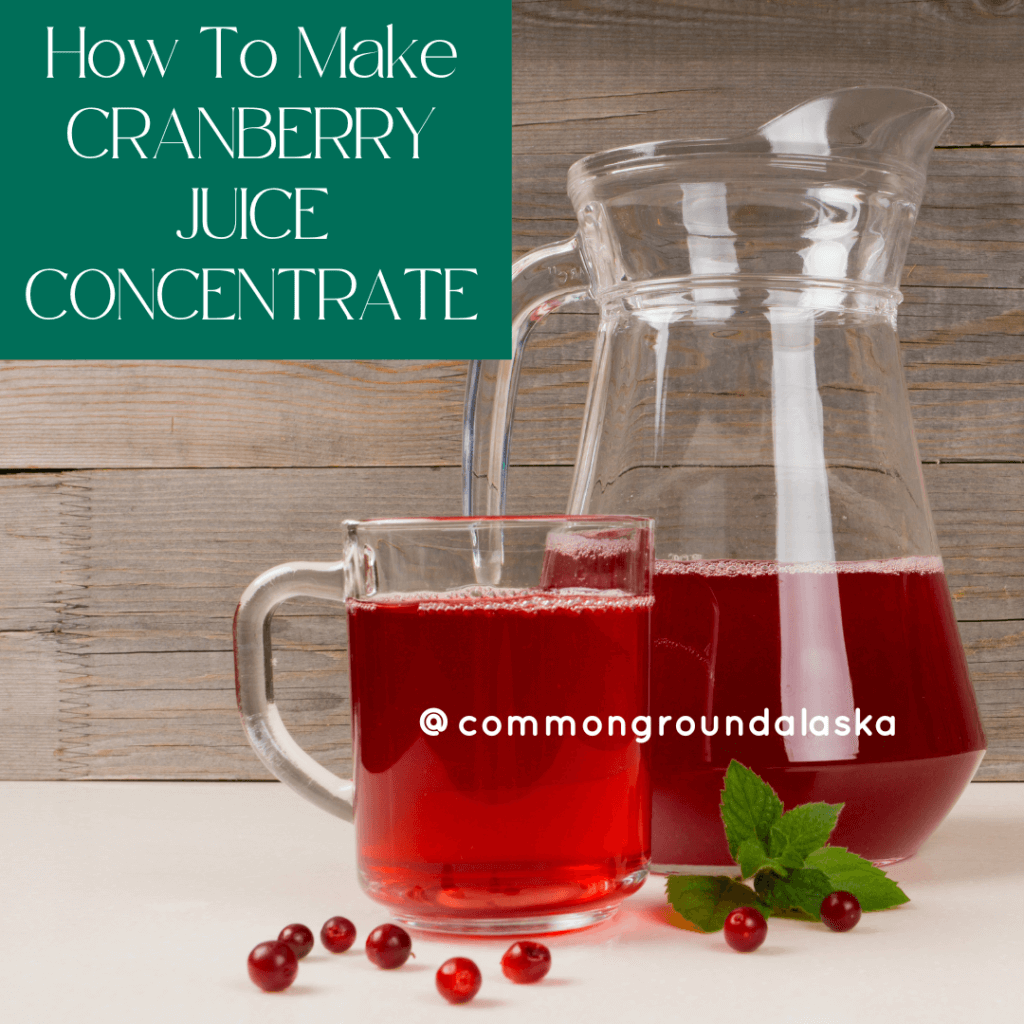HOMEMADE ALASKA CRANBERRY JUICE - TWO OPTIONS - Common Ground Alaska
