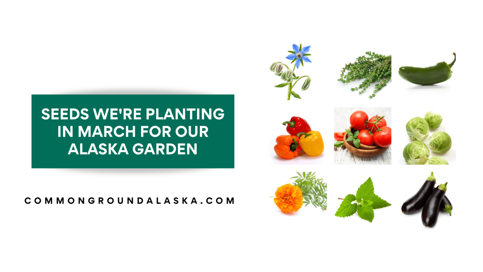 SEEDS WE'RE PLANTING IN MARCH FOR OUR ALASKA GARDEN - Common Ground Alaska