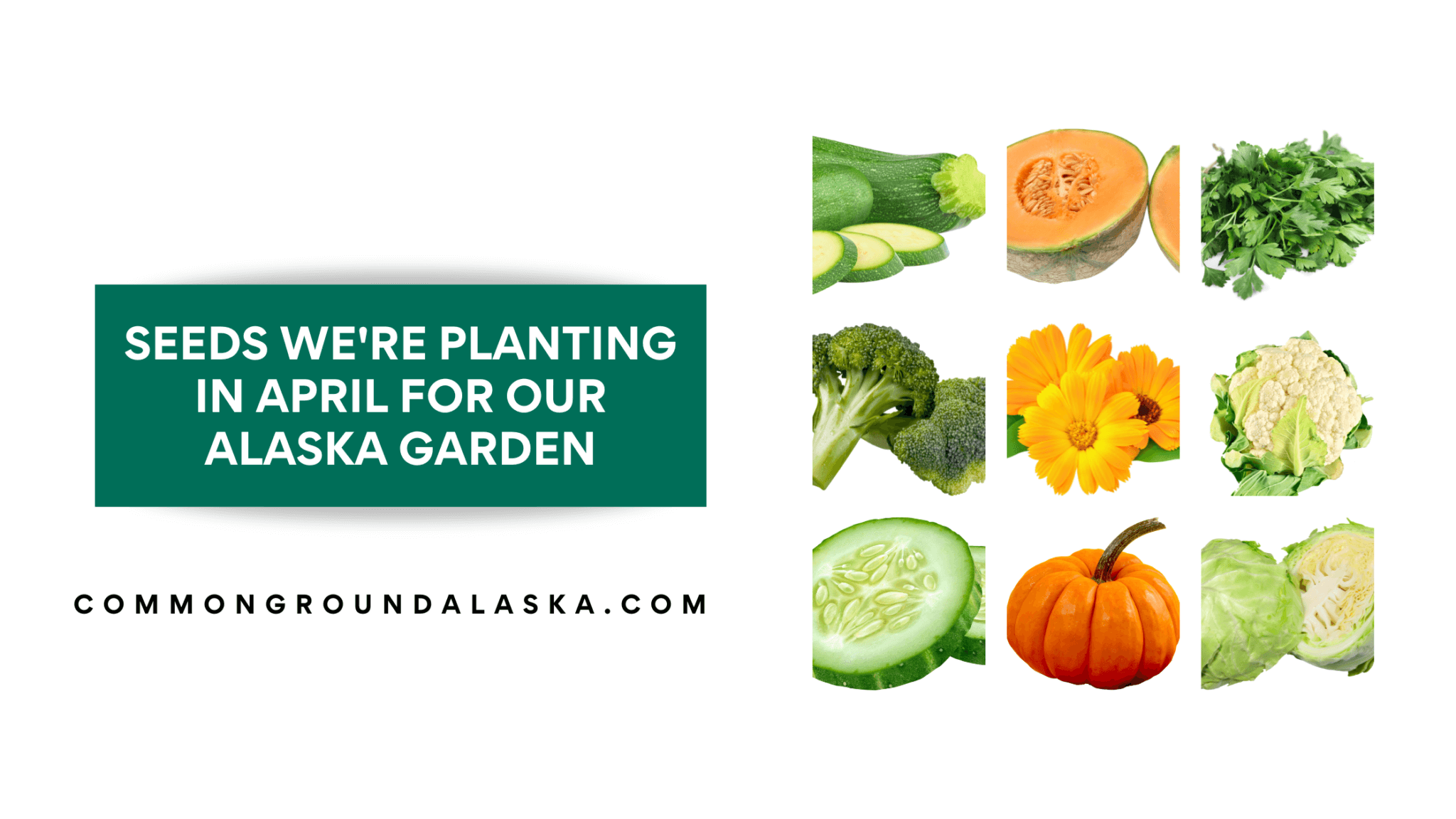 SEEDS WE'RE PLANTING IN APRIL FOR OUR ALASKA GARDEN - Common Ground Alaska